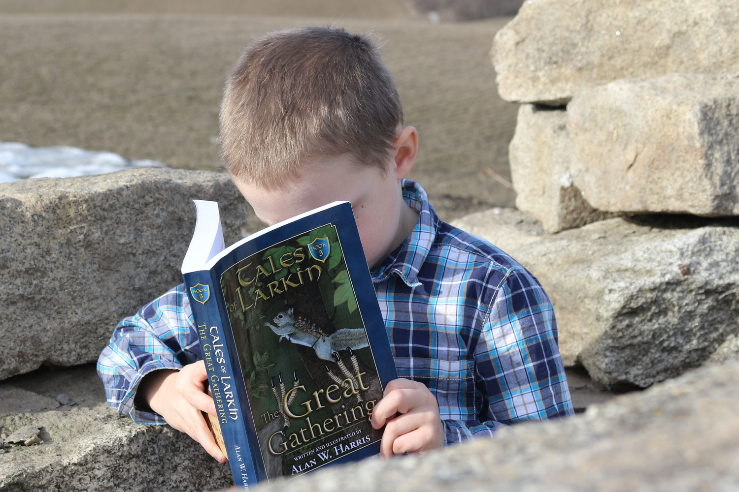 Little People and The Tales of Larkin - Gretchen Louise