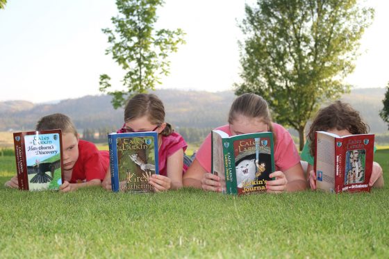 Little People and The Tales of Larkin - Gretchen Louise